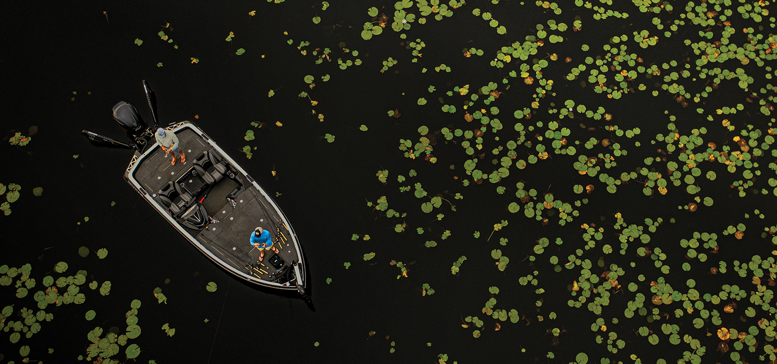 Raptor Shallow Water Anchor - Minn Kota