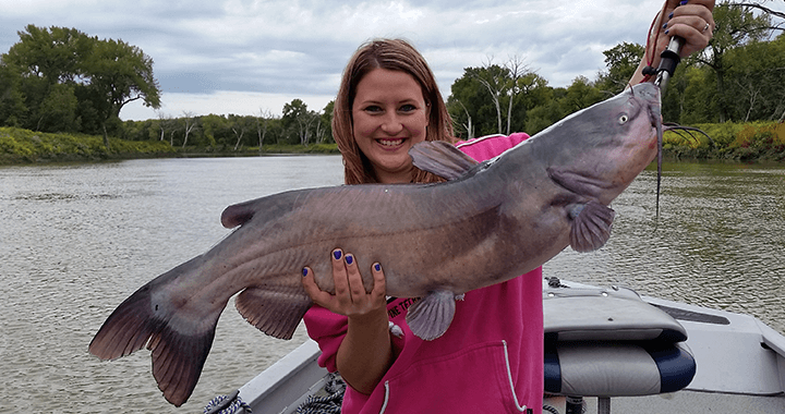 Fall Catfish Efficiency with Minn Kota Ulterra, Humminbird AutoChart ...